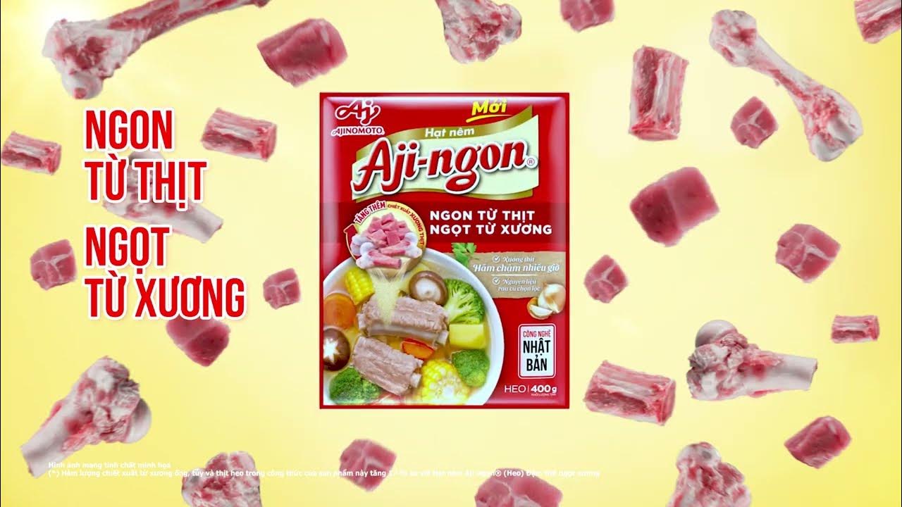 HẠT NÊM Aji-ngon® CẢI TIẾN MỚI - NGON TỪ THỊT, NGỌT TỪ XƯƠNG (North) - YouTube
