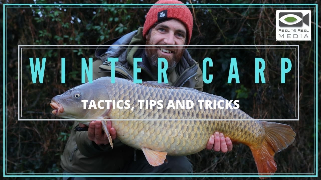 CARP FISHING ~ Winter Tactics, Tips and Tricks - YouTube
