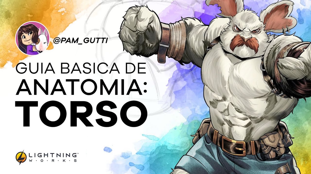 Guia básica de anatomia: El torso - YouTube
