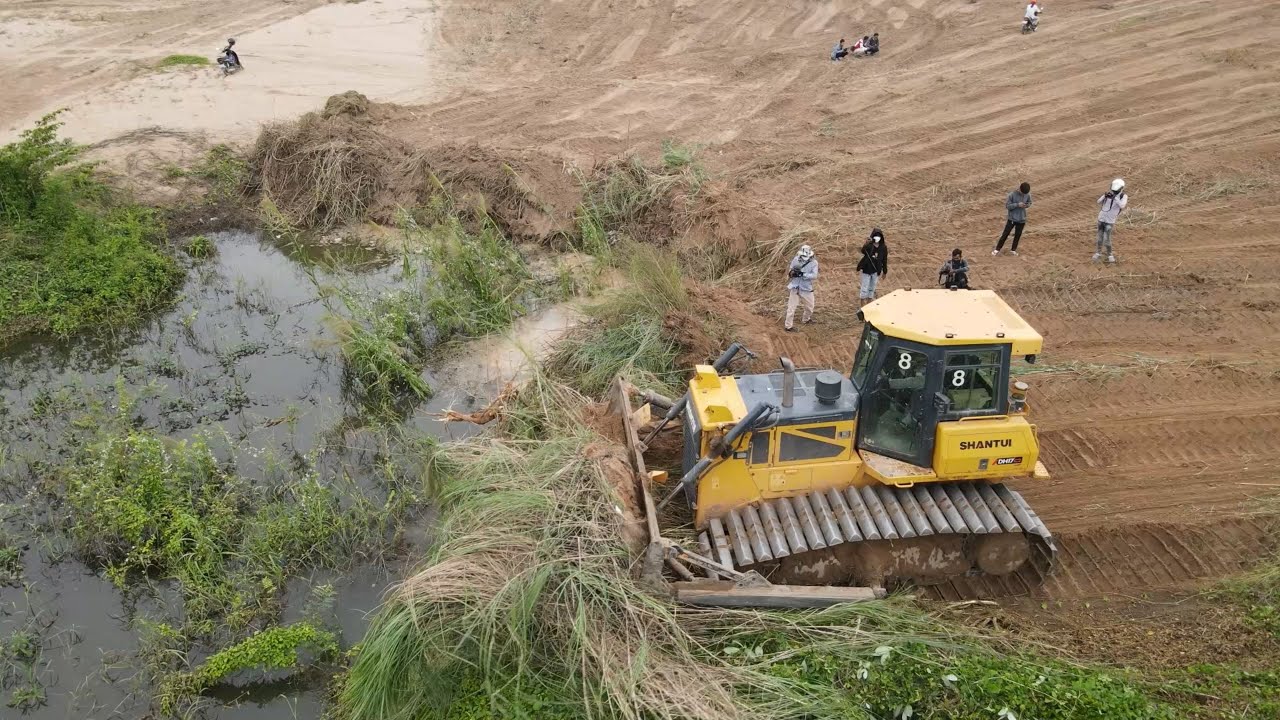 Power Bulldozer pushing small tree to clear the lake | Machine Kh - YouTube
