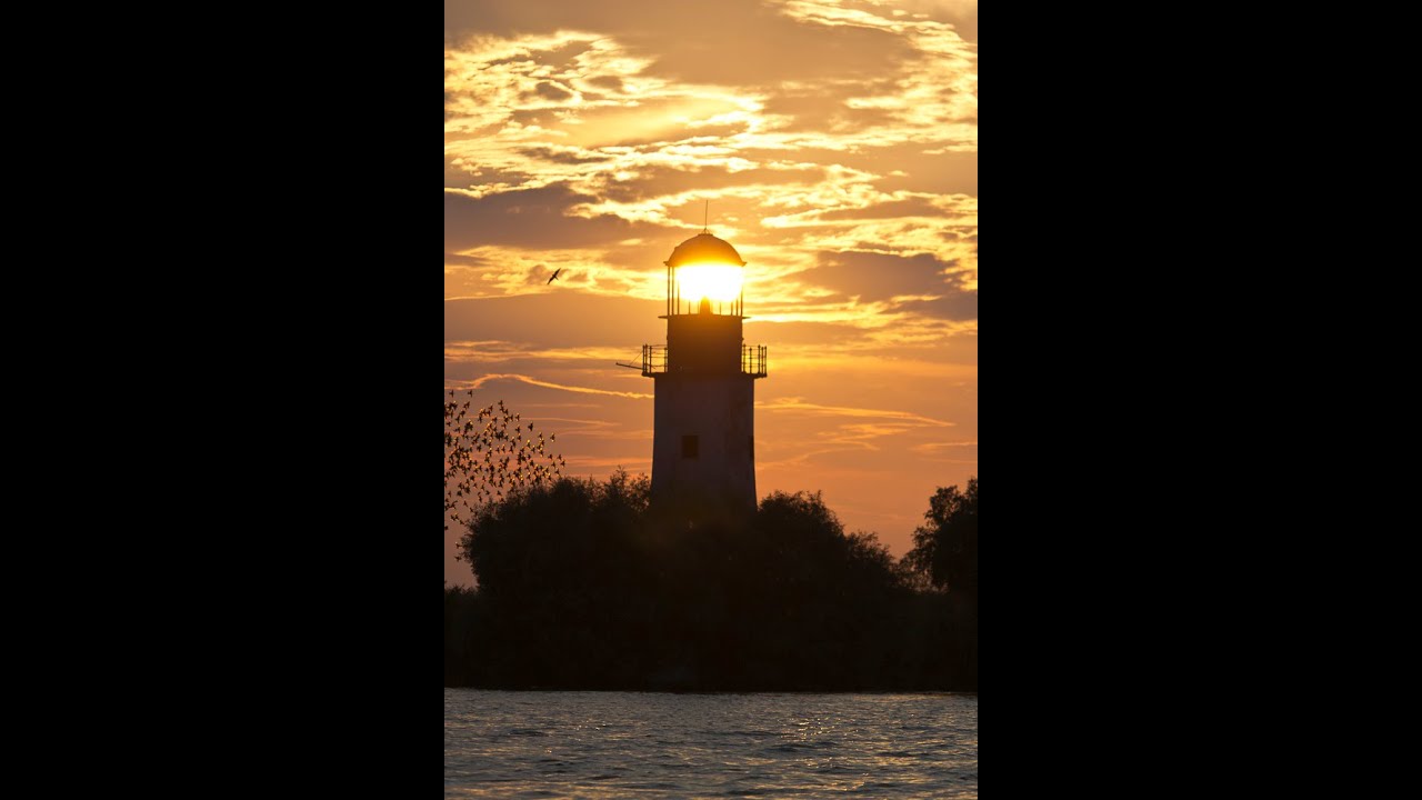 Bio Sac 200 before its too late - YouTube