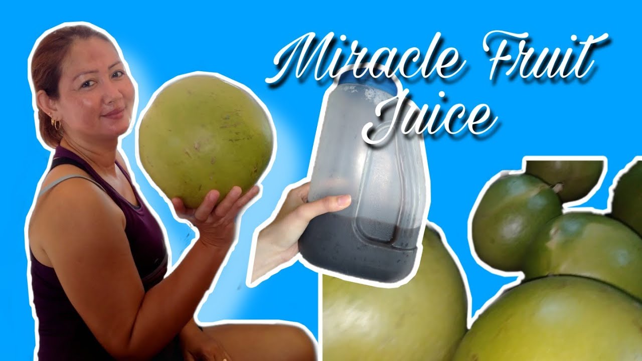 How i make my miracle fruit juice - YouTube