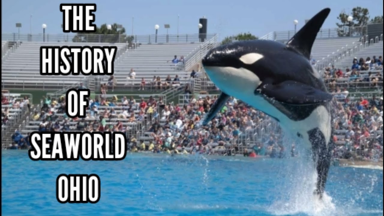 The History of SeaWorld Ohio - YouTube