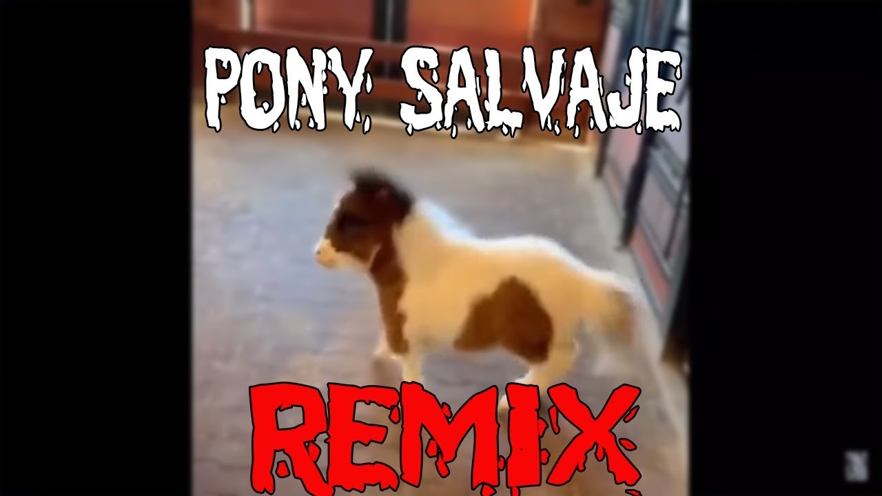 PONY SALVAJE REMIX 2019 CHALLENGE - YouTube