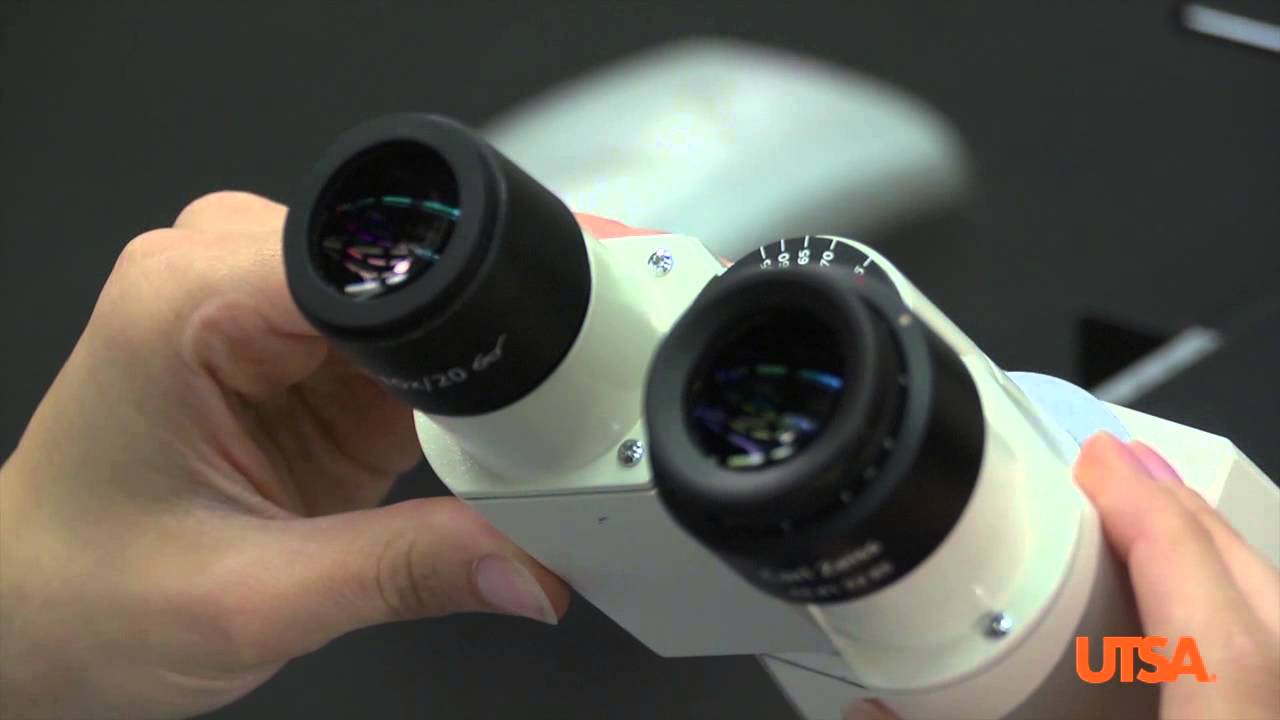 Biology Microscope - YouTube
