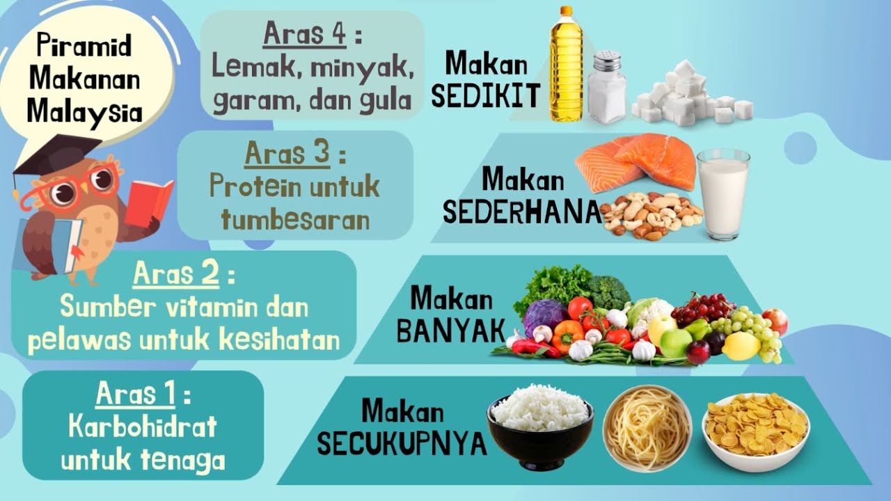 Sains Tahun 3 | Manusia | Tujuh (7) Kelas Makanan | Piramid Makanan ...