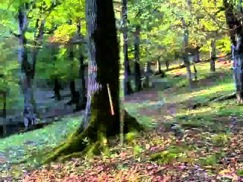 kurtlar vadisi pusu 244 bolumun fragman