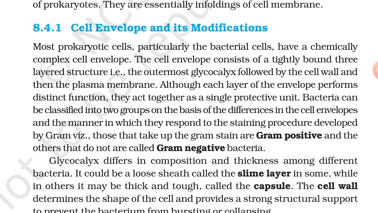 [L4] Cell Envelope And Its Modifications | Class 11 Cell The Unit of ...