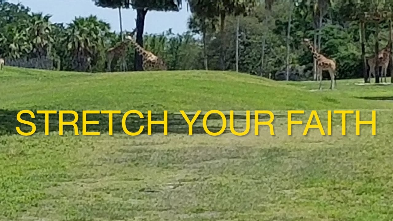 Stretch Your Faith - YouTube