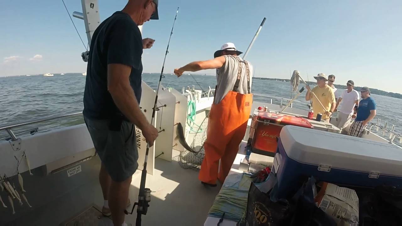 TW Perry/Trex fishing trip 2016 - YouTube