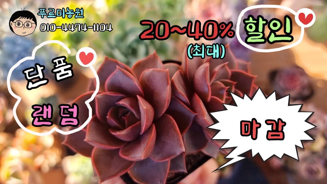 πλλ°ν μΈ~μ΅λ20~40ν μΈλκ°κ²©~λ¨νπ§ββοΈλλ€~λ€μ‘νλ§€λ€μ‘μλ¬Όλ°λ €μλ¬ΌλΉλ°μμμ²μ£Όλ€μ‘μΆ©λΆλ€μ‘λμ λ€μ‘κΈ°μ¨μ°¨κ³΅κΈ°μ νμλ¬Ό μ²μλ€μ‘μμ±λ€μ‘μ§μ²λ€μ‘μ κ΅