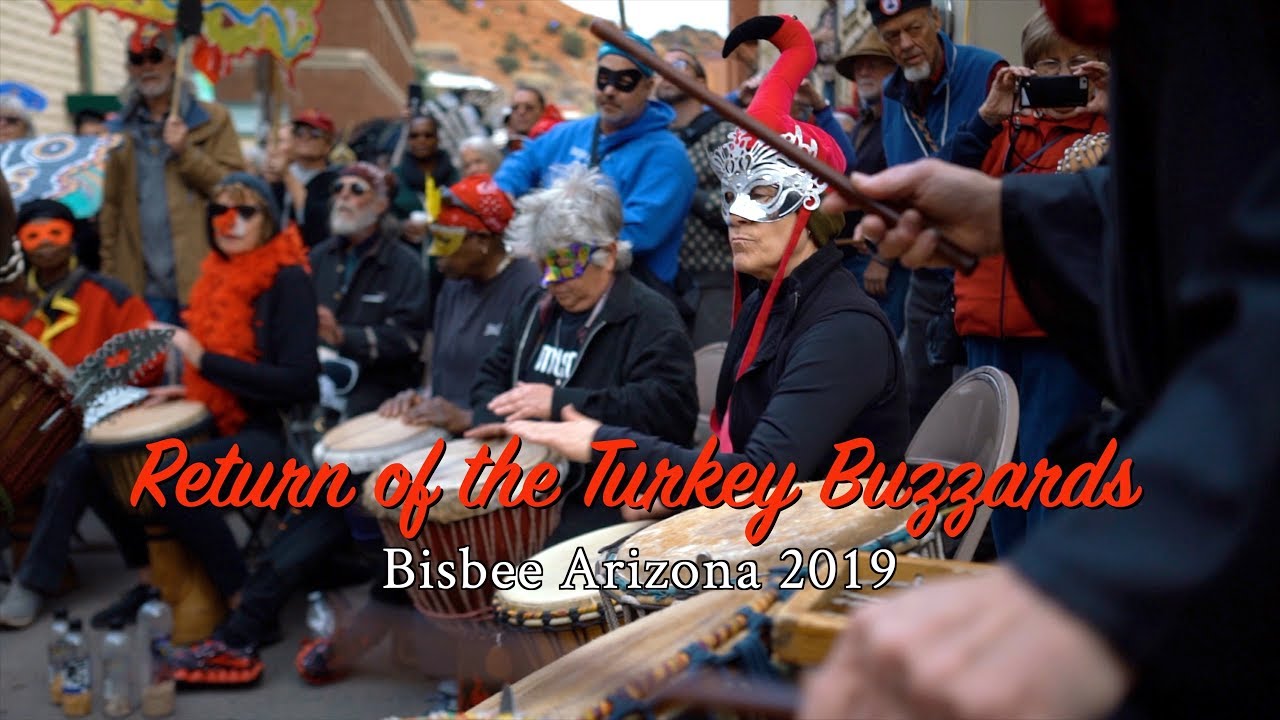 Turkey Vultures return to Bisbee! - YouTube