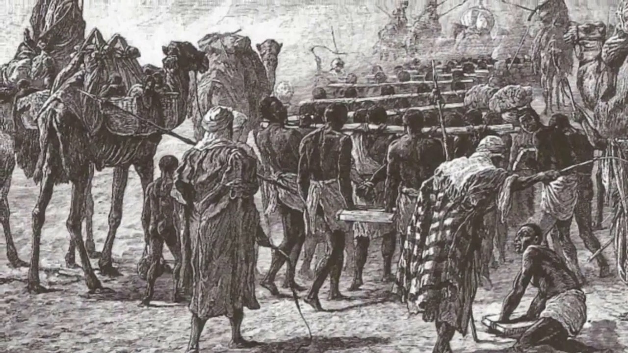 Dr. Richard Ryder sullo specismo - YouTube