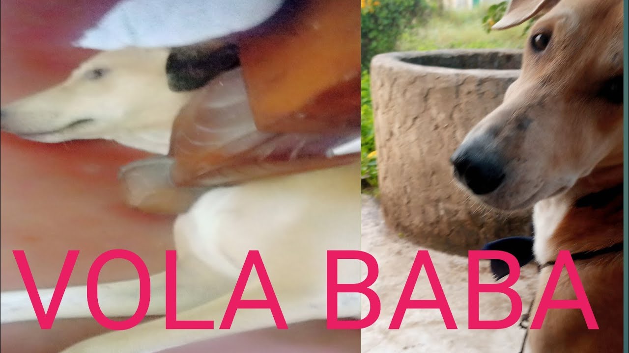 Vola Kal Rat Amai Khub Kosto Diyeche//Rate Para Gurte Gechilo 😂🤗 - YouTube