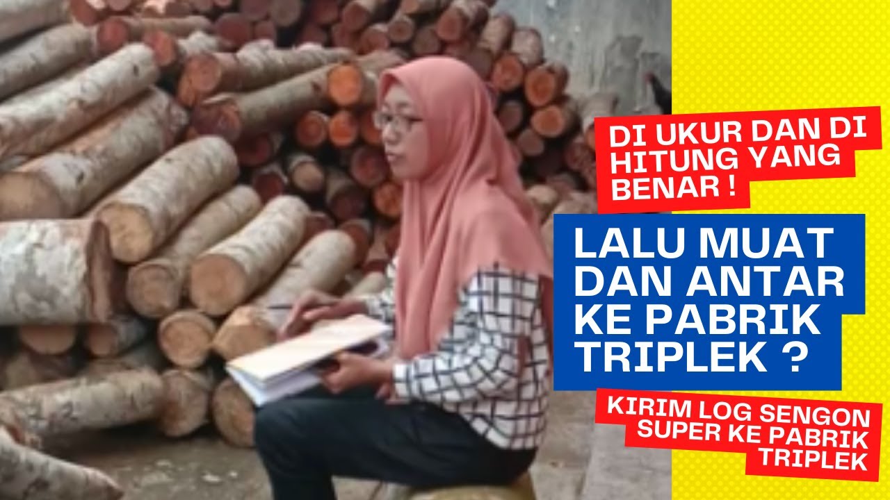 Kirim log kayu sengon super ke pabrik triplek - YouTube