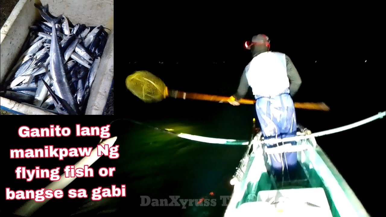 Ganito lang manikpaw Ng Bangsi or flying fish sa Gabi(Grabe lingaw ...
