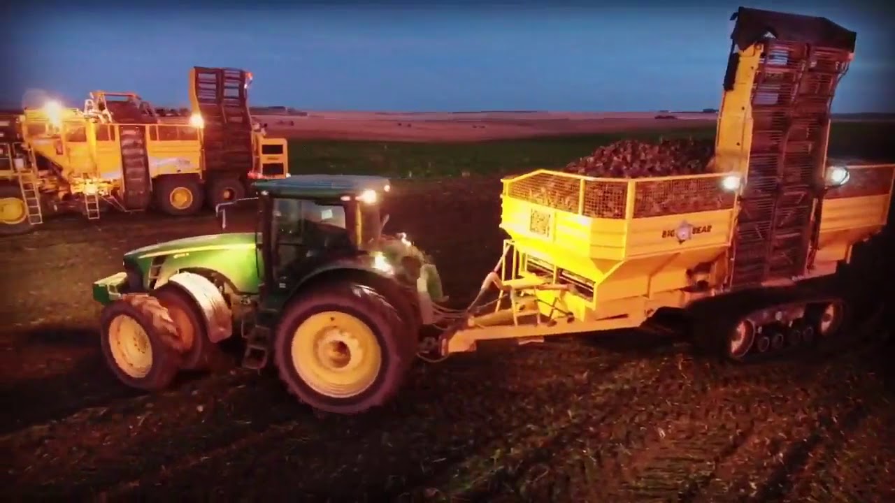 Jespersen's Digging Sugar Beets in Nebraska - YouTube