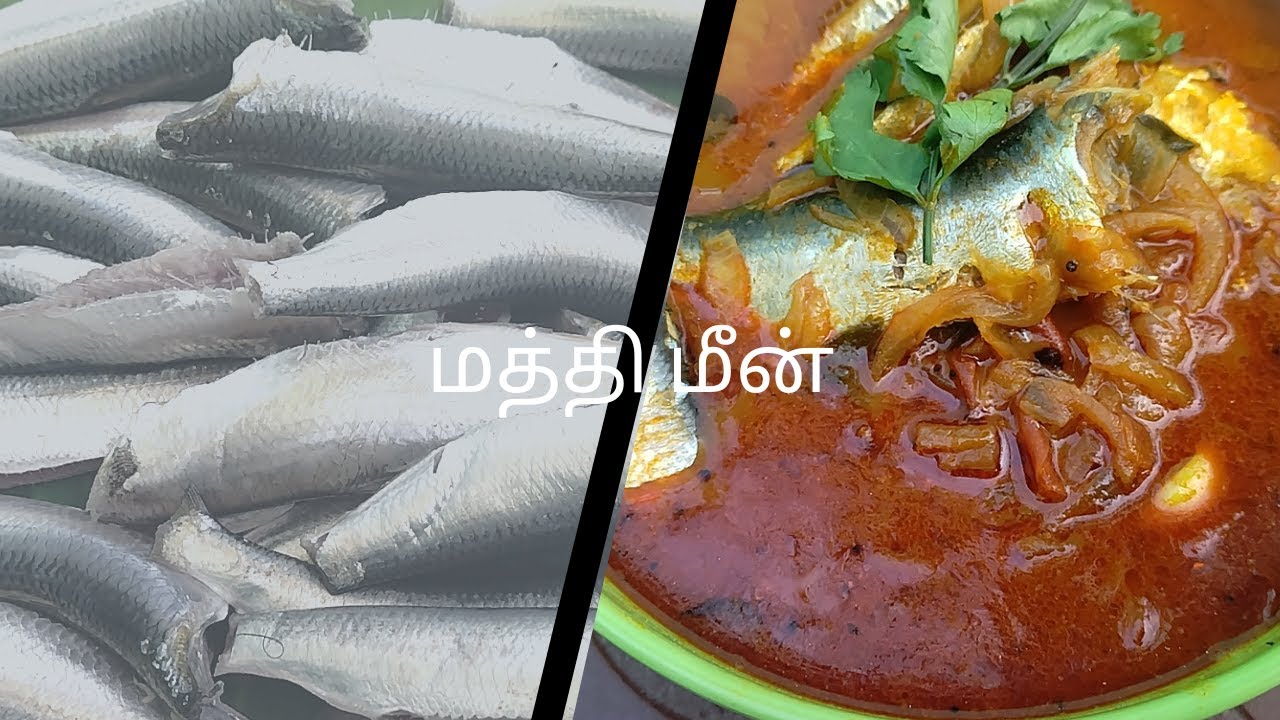 மத்தி மீன் kulumbu/Mathi fish recipe in tamil/Chala fish - YouTube