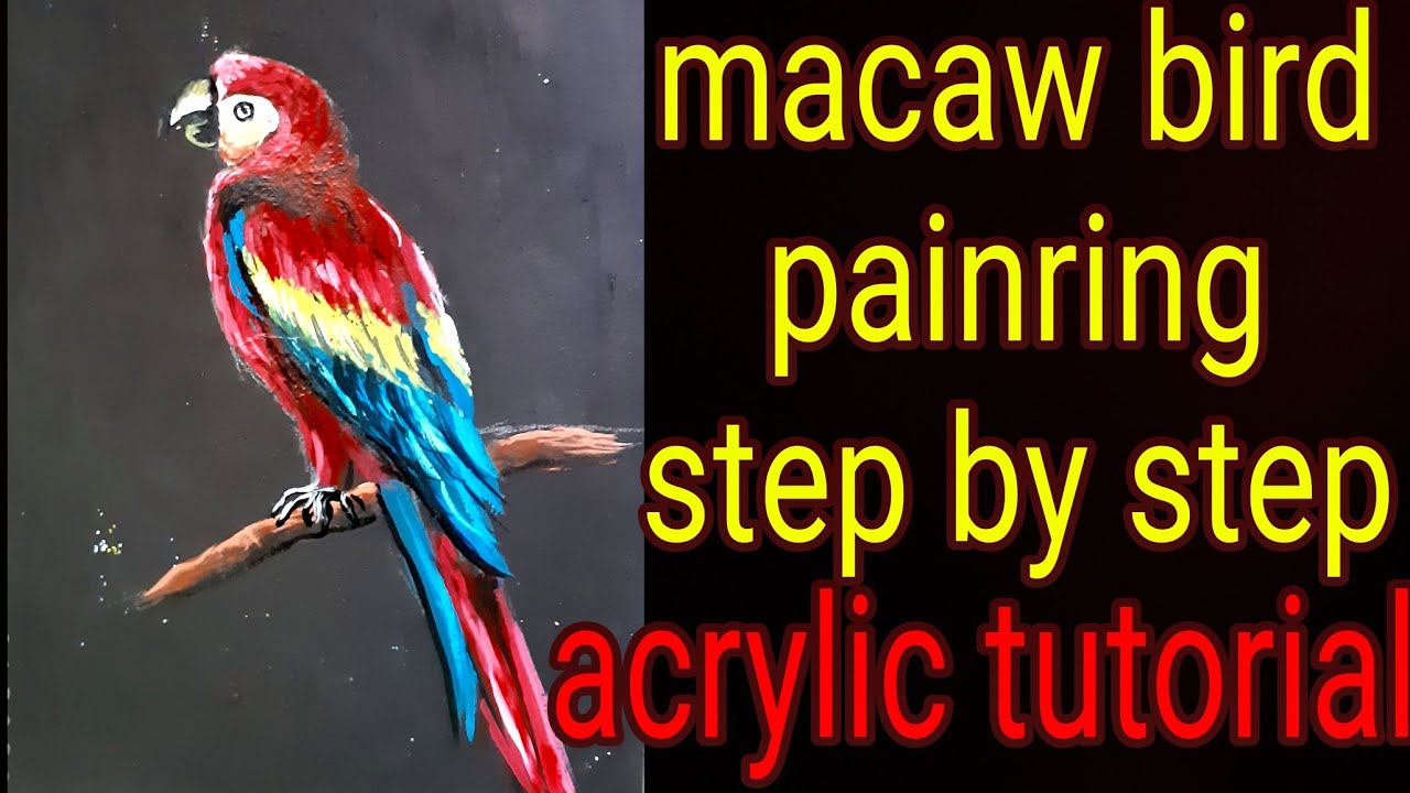 easy macaw bird painting in Acrylic color paintings for beginners - YouTube