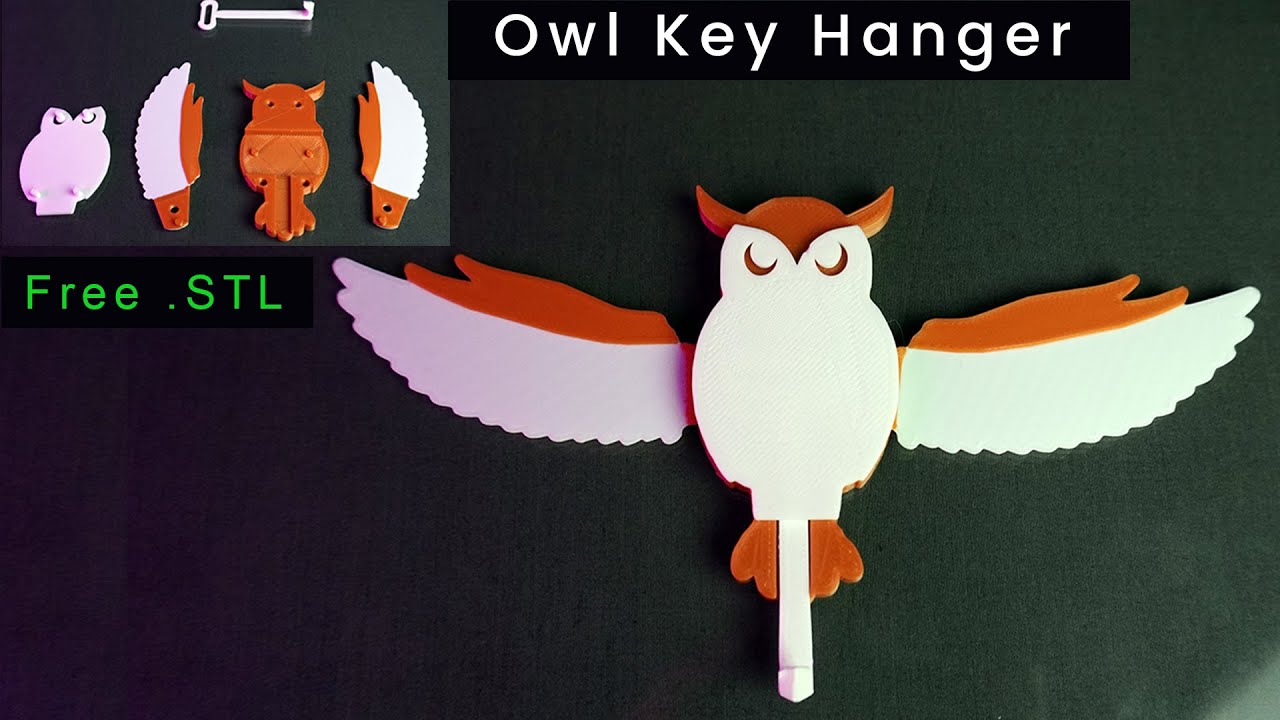 Owl Key Hanger 3D Printed #3dprinting - YouTube