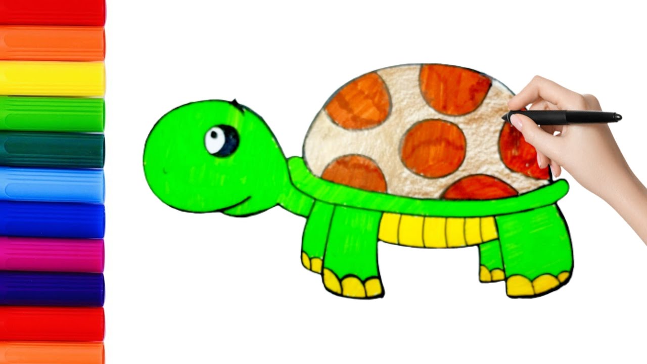 How to Draw A Turtle 🐢🐢 || Easy Turtle Drawing Coloring Painting for ...