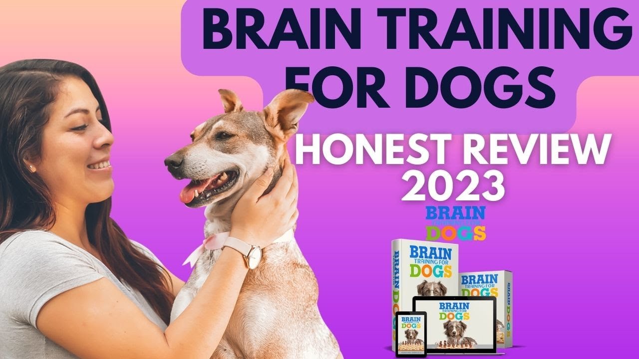 Brain Training for Dogs Review2023: Unlocking Your Dog's Full Potential ...