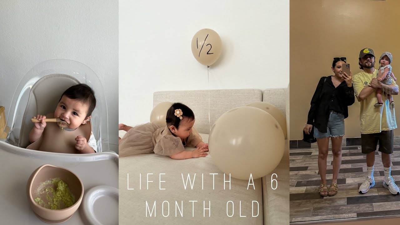 Life with a 6 month old | Butterfly Wonderland, 6 month check up ...