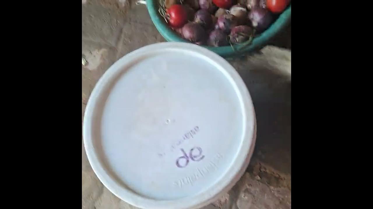 Mera dusra vilog - YouTube