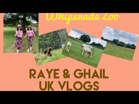 Raye's birthday | Whipsnade Zoo