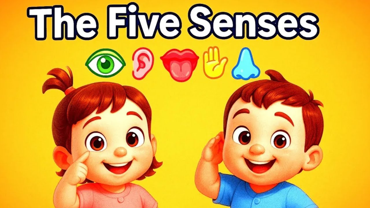 Five Senses for Kids | Interactive Song & Movement Learning - YouTube