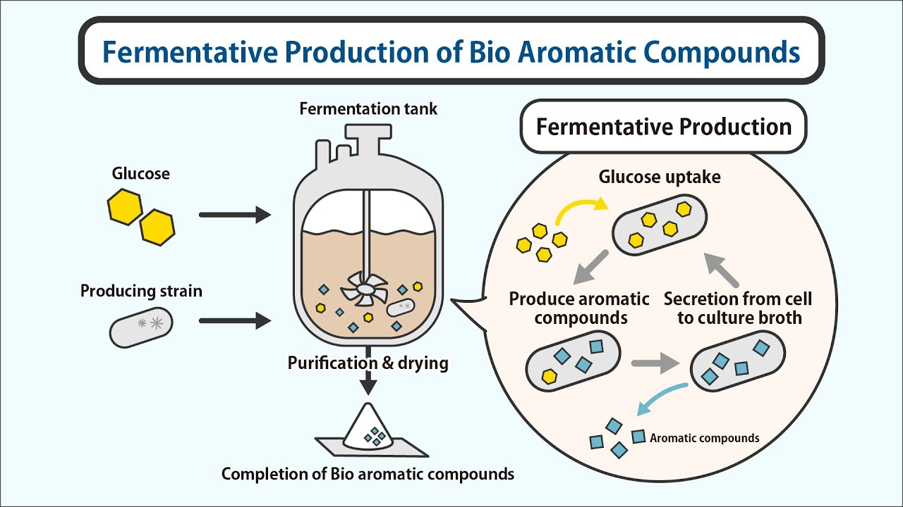 花王 コーポレート Production of Bioaromatic Compounds by Fermentation ...