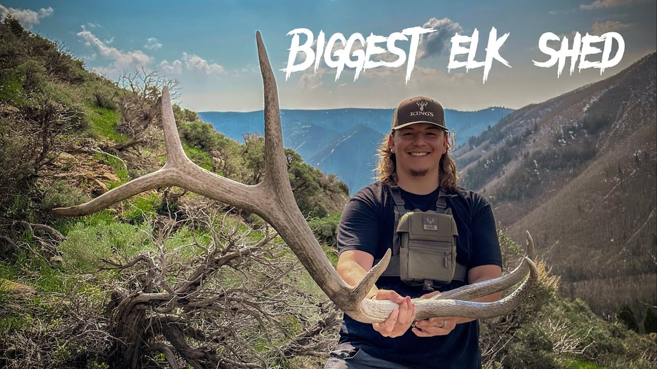 My Biggest Elk Shed | High Country Elk Sheds | - YouTube
