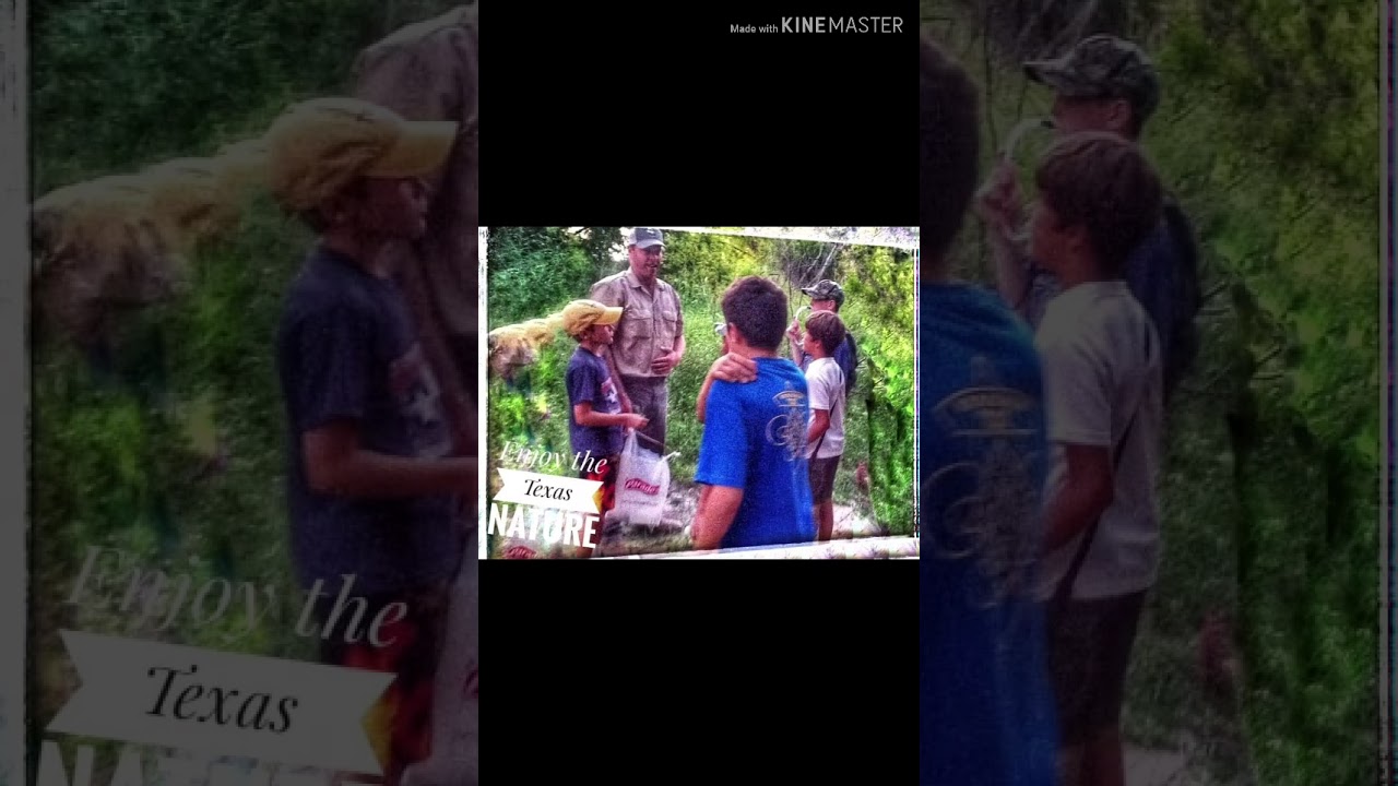 Ranger Dan Intro - YouTube