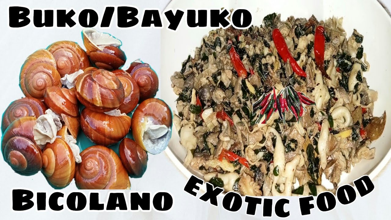 HOW TO COOK BUKO/BAYUKO/WONDER SNAIL/BICOLANO EXOTIC FOOD - YouTube