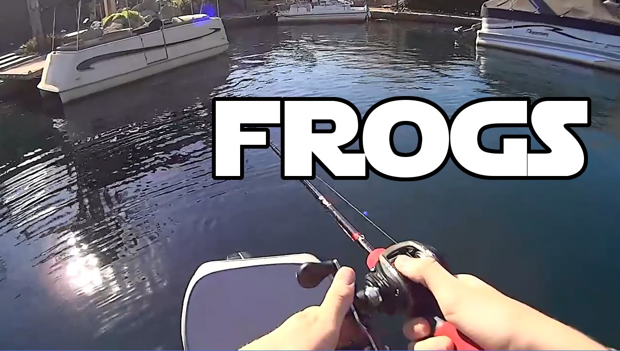 Frog Fishing For Bass Under Docks! - YouTube