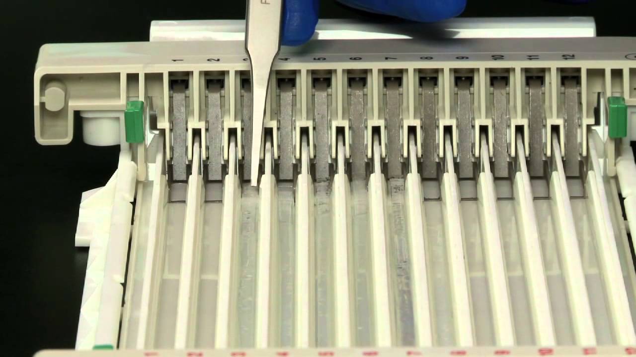 Loading the PROTEAN® i12™ IEF System - Gel-Side Down Assembly - YouTube