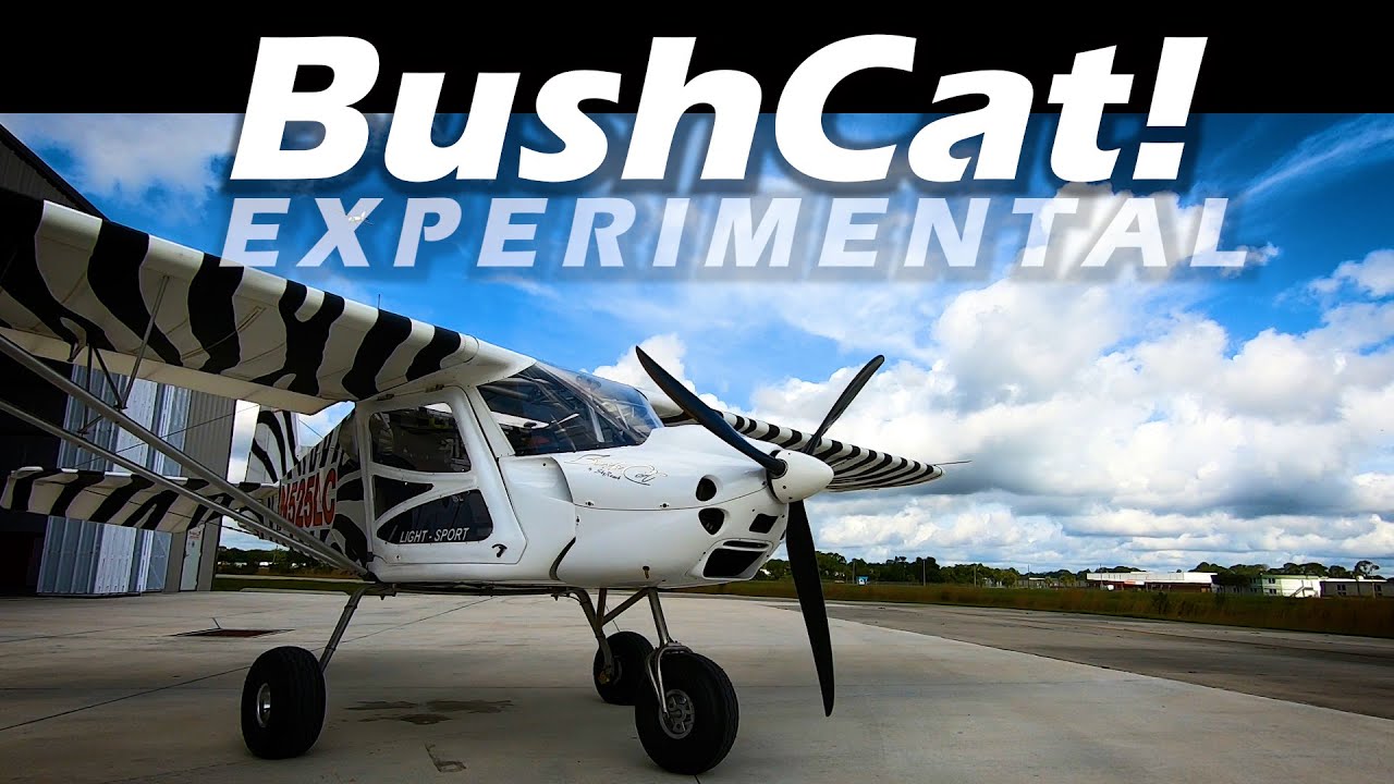 Kitplane! Skyreach Bushcat Aircraft - You Can Build and Afford FAST ...