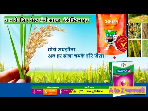 धान के लिए बेस्ट इंसेक्टिसाइड एण्ड फंगीसाइड|| PI OSHEEN INSECTICIDE ...