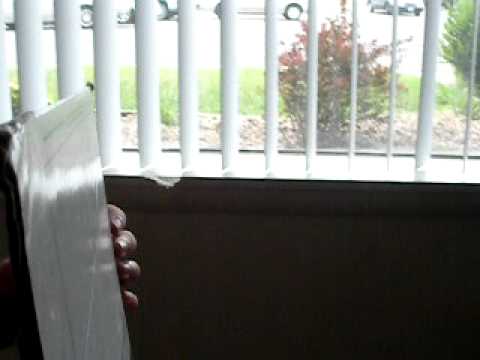Seed Pod Flown as a Walkalong Glider - YouTube
