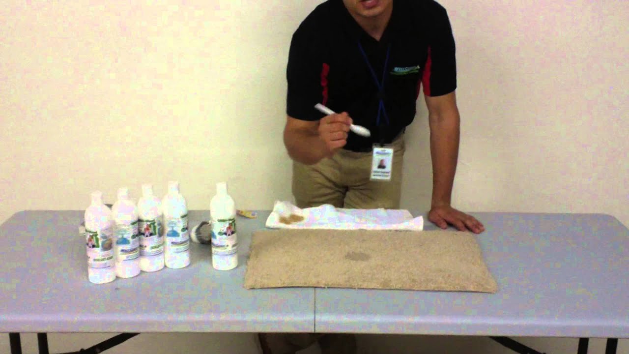 How To Use Carpet Spotter....The RIGHT way! - YouTube