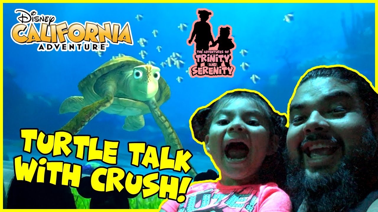 Best Turtle Talk with CRUSH! Disney California Adventure - YouTube
