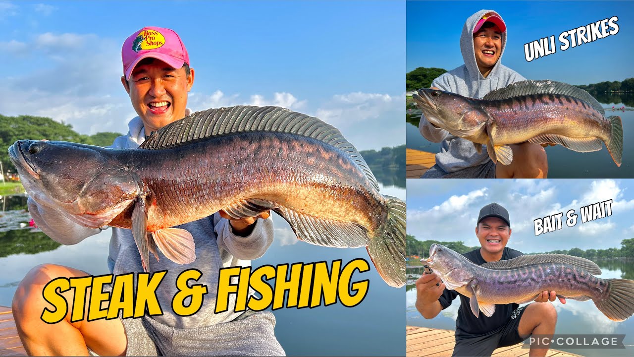 Action Packed | Giant Snakehead Fishing | Outdoor Cooking - YouTube