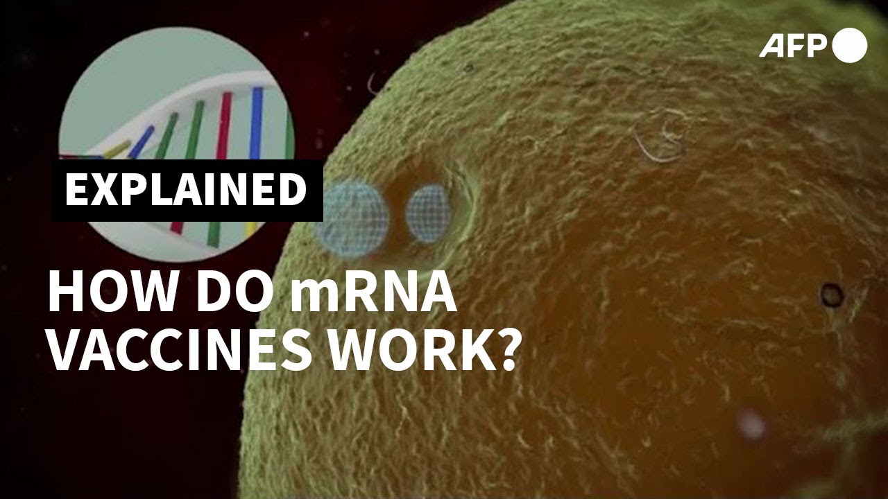 Covid-19: understanding mRNA vaccines | AFP - YouTube