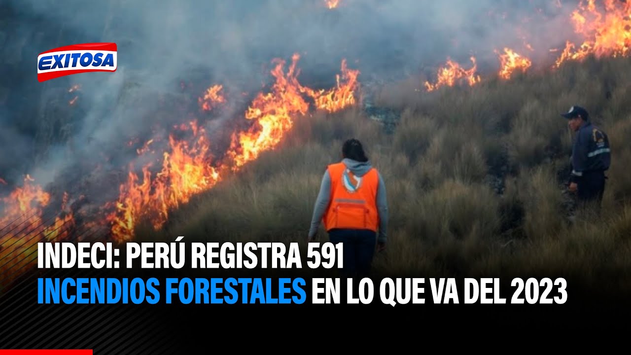 🔴🔵Indeci: El Perú registra 591 incendios forestales en lo que va del ...
