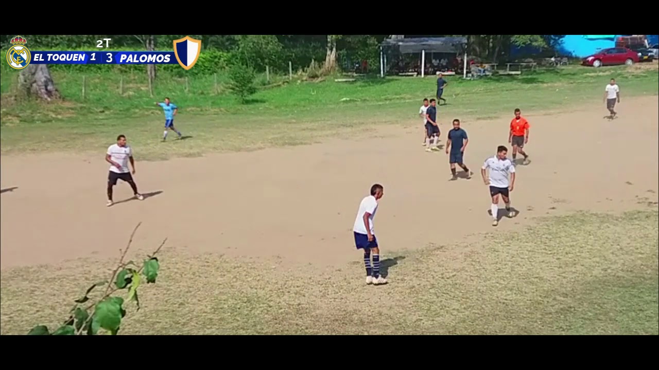 Resumen partido 5-2 Palomos Vs El Toquen - YouTube