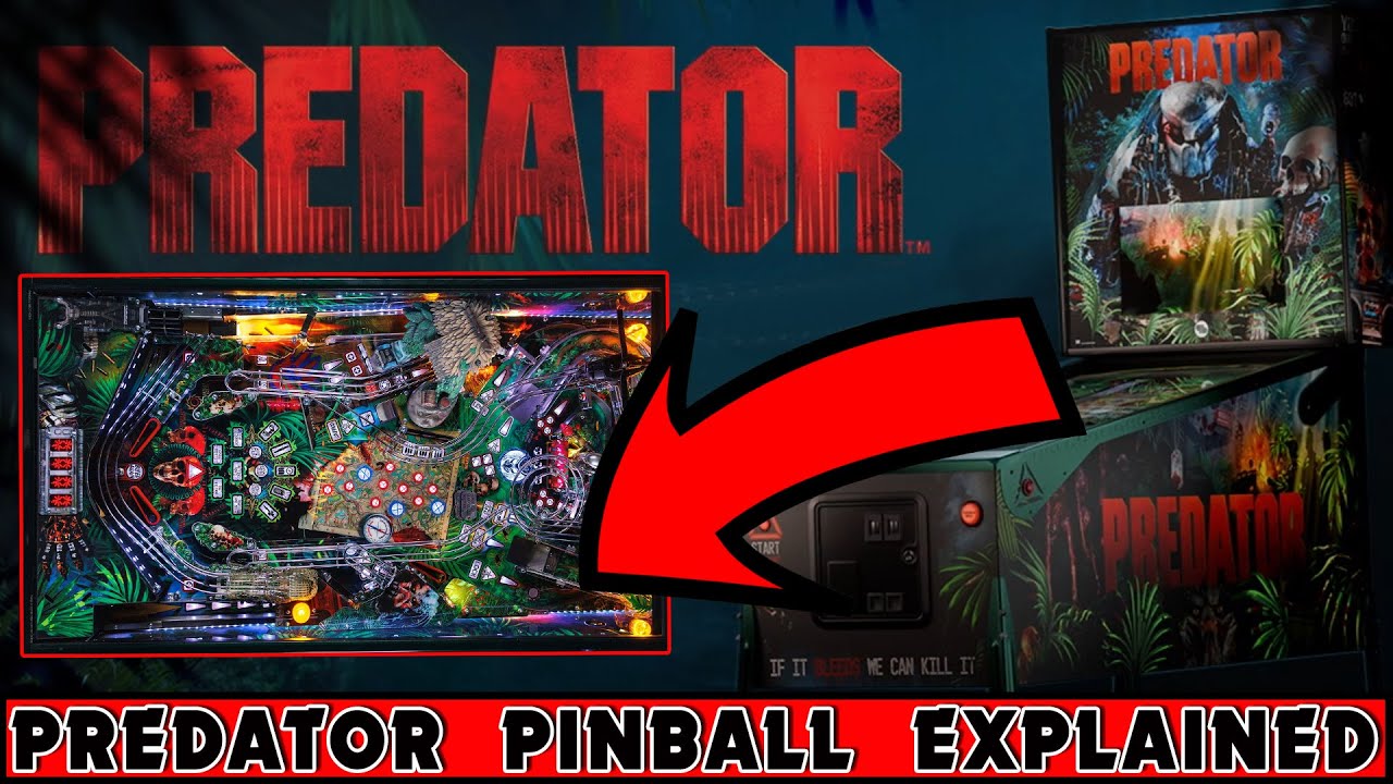 Pinball Brothers Predator Pinball Machine – Inside the Jungle with ...