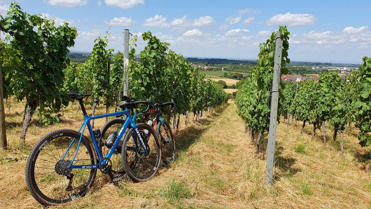 4k CHERRY PIE TRAIL. Burg Frankenstein. Van Rysel RCX. GoPro Hero 11 ...