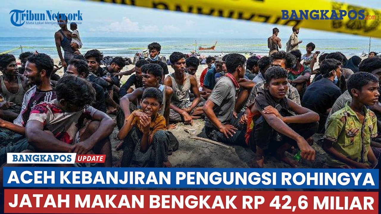 Aceh Kebanjiran Pengungsi Rohingya, Jatah Makan Bengkak Rp 42,6 Miliar ...