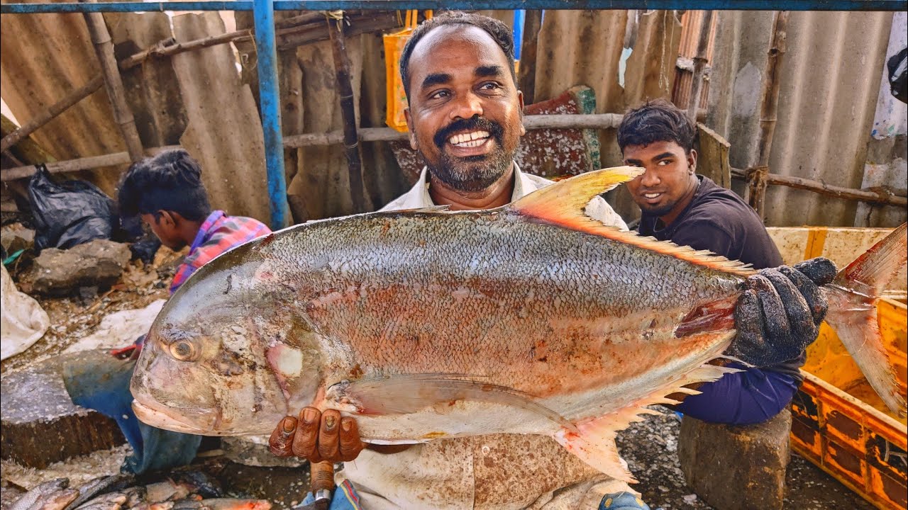 பரேய் மீன்/TRAVELLY FISH CUTTING/INDIAN FISH MARKET/4K VIDEO/ - YouTube