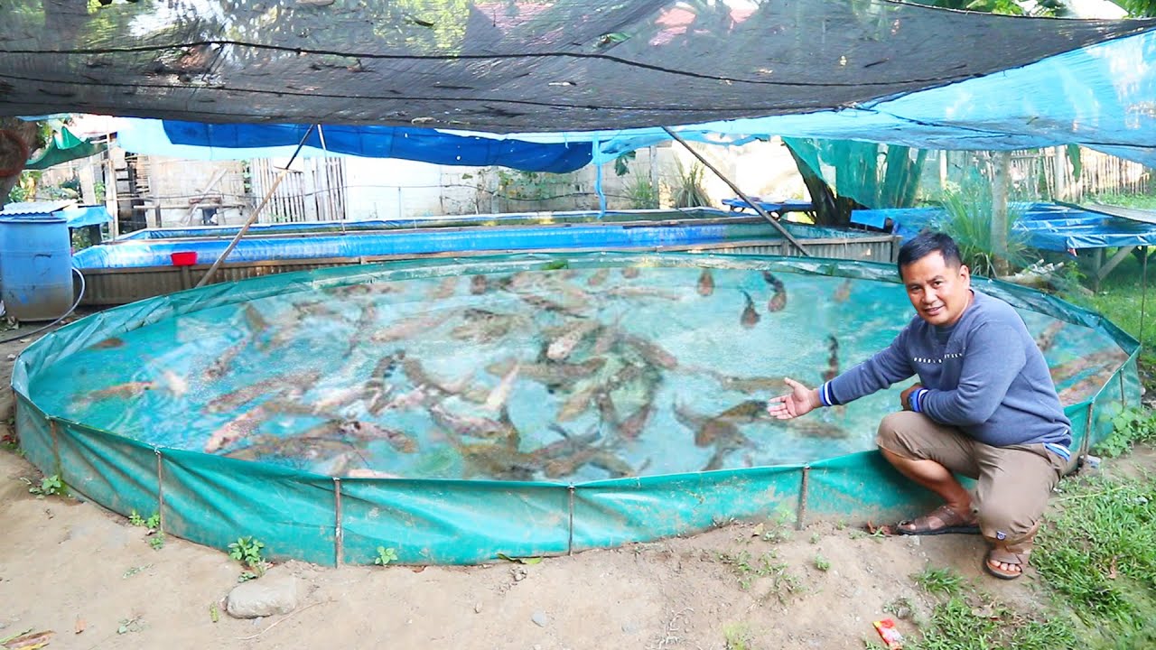 From hobby to profit│ Simple ways to possibly earn a million out of ...